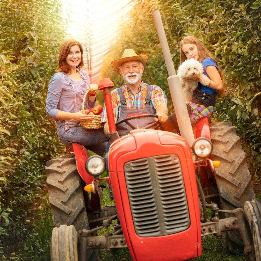 The Mental Health Benefits of Care Farming - Rural Mental Wellness Toolkit