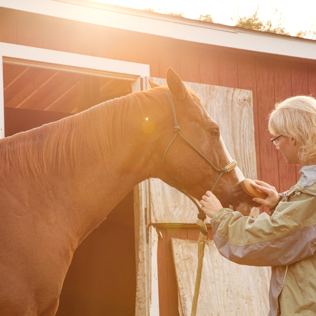 The Mental Health Benefits of Care Farming - Rural Mental Wellness Toolkit